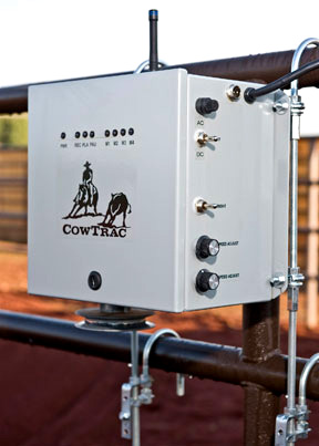 CowTrac Ultima Mechanical Cow Horse Training Videos Online Horse ...