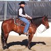 Western Riding Know How Horse Training Videos Online Horse Training ...