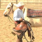 How To Start Colts With or Without A Round Pen Horse Training Videos ...